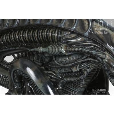 Alien Warrior Life Size Bust Sideshow, Alien 1:1 bust