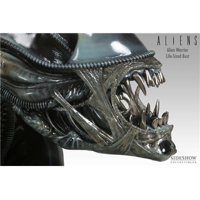 Alien Warrior Life Size Bust Sideshow, Alien 1:1 bust